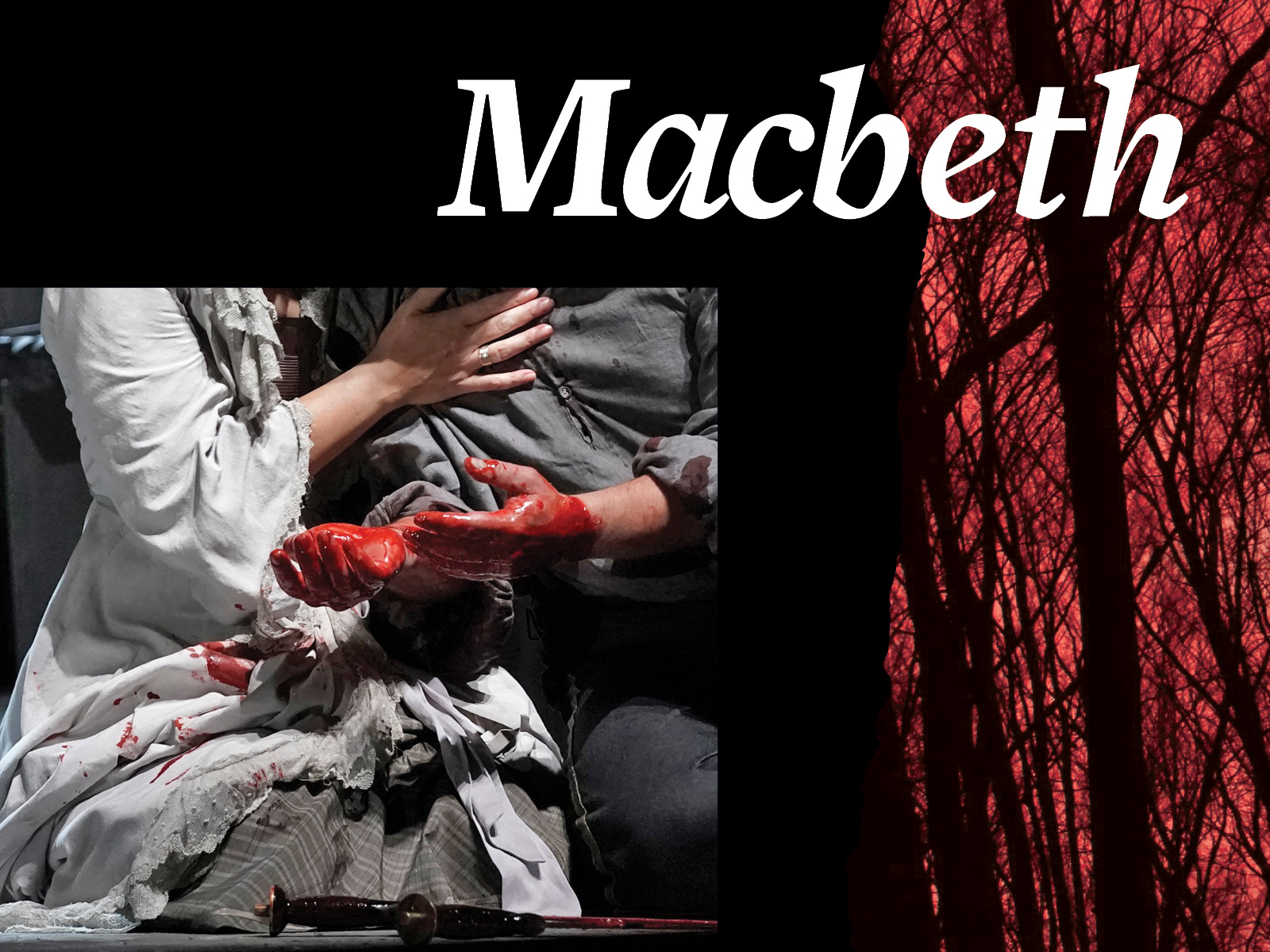 Washington National Opera's Macbeth Tickets | Washington | TodayTix