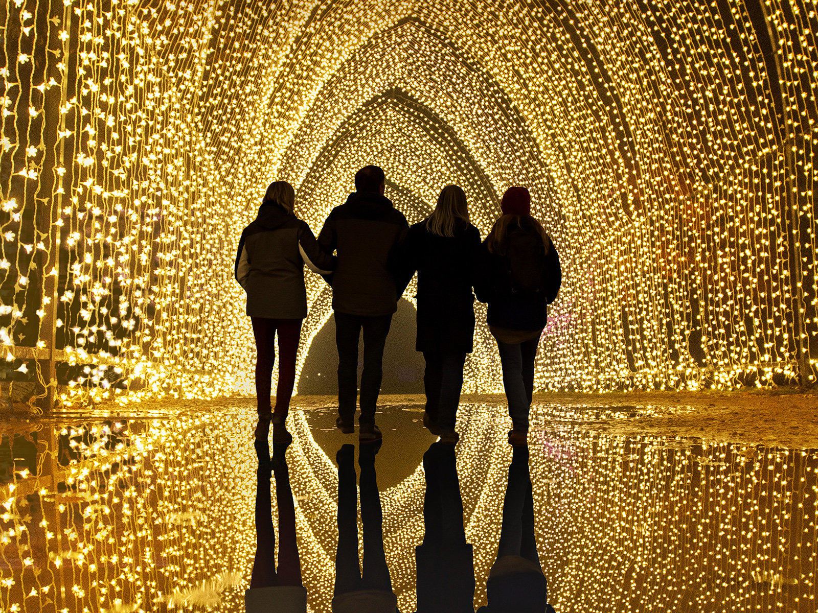 Lightscape - LA Tickets | Arcadia | TodayTix