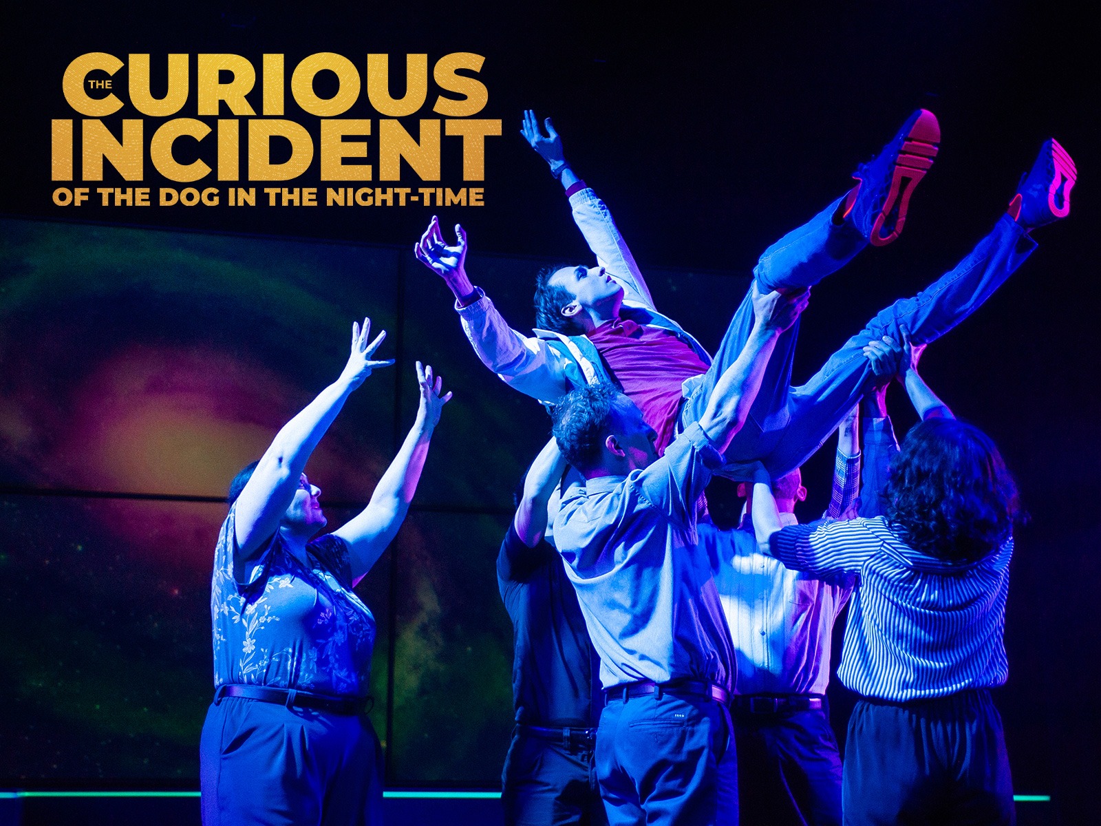 The Curious Incident of the Dog in the Night-Time tickets | San ...