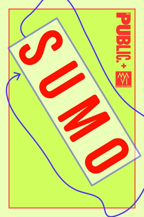 Sumo Tickets | New York | TodayTix