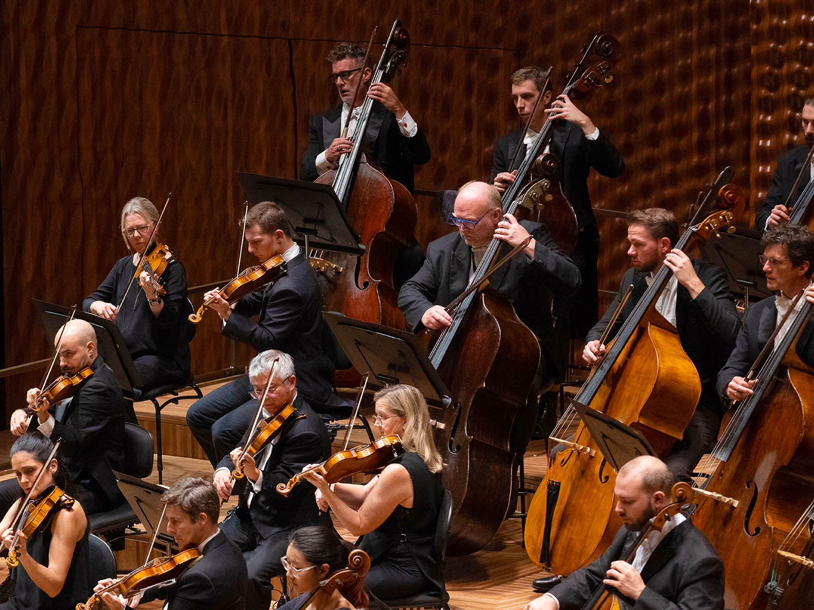 Tchaikovsky’s Fourth Symphony Tickets | Sydney | TodayTix