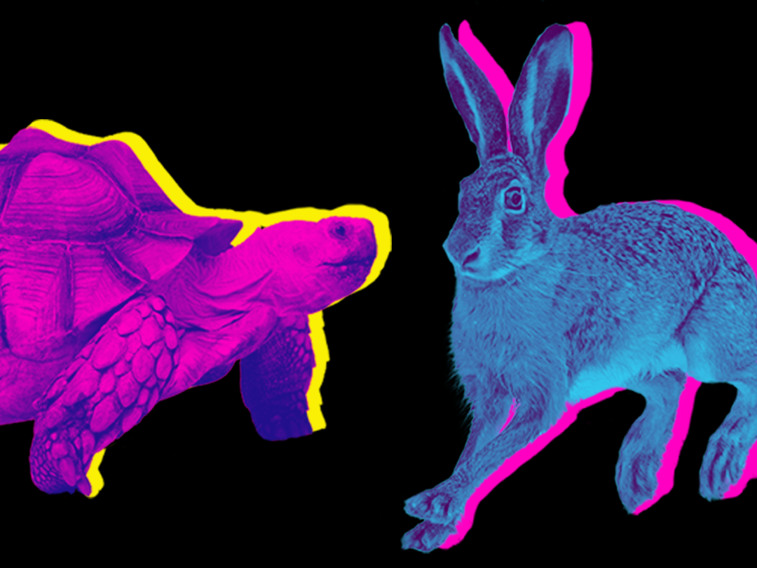 Uptown Showdown: Tortoise Vs. Hare Tickets | New York | TodayTix