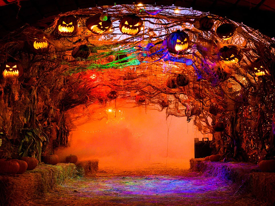 Los Angeles Haunted Hayride Tickets Los Angeles Todaytix