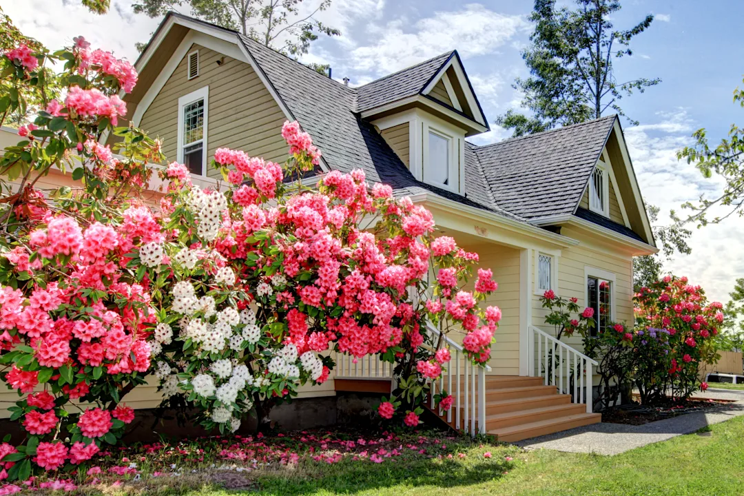 Diversify into Single Family Rentals via our funds and SMAs