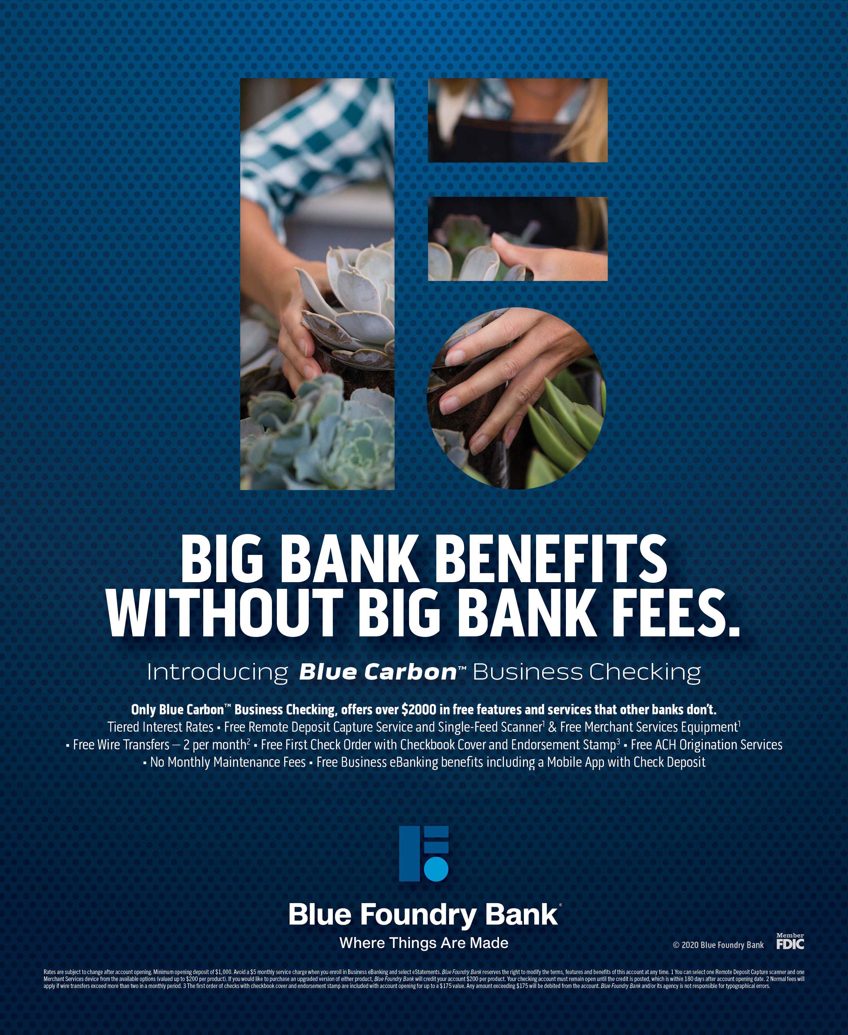 Blue Foundry Bank