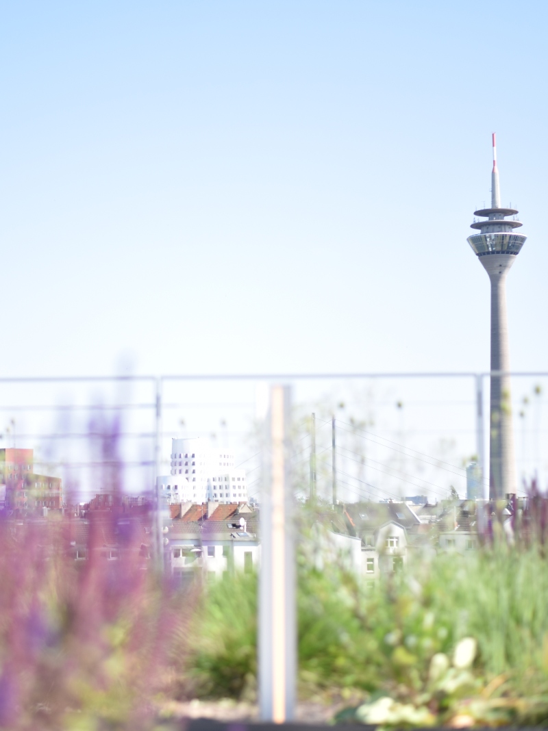 EssenceMediacom Deutschland