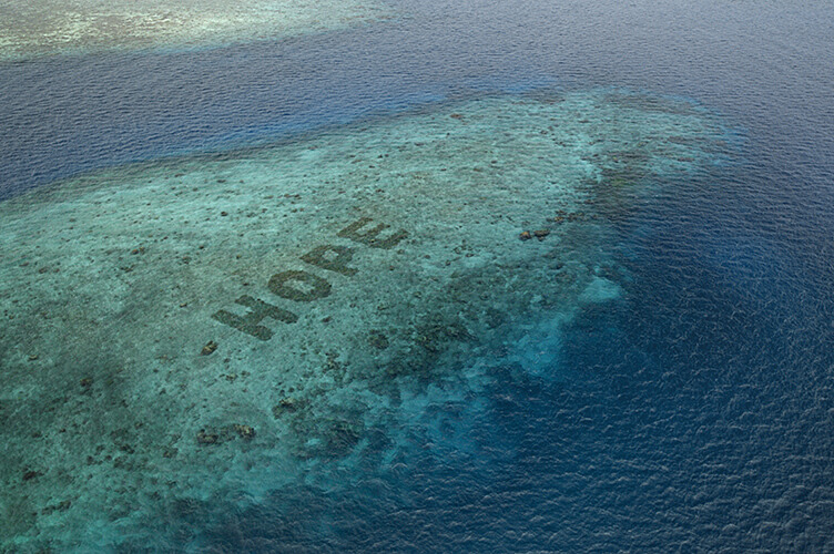 Sheba Hope Reef | Case study | EssenceMediacom