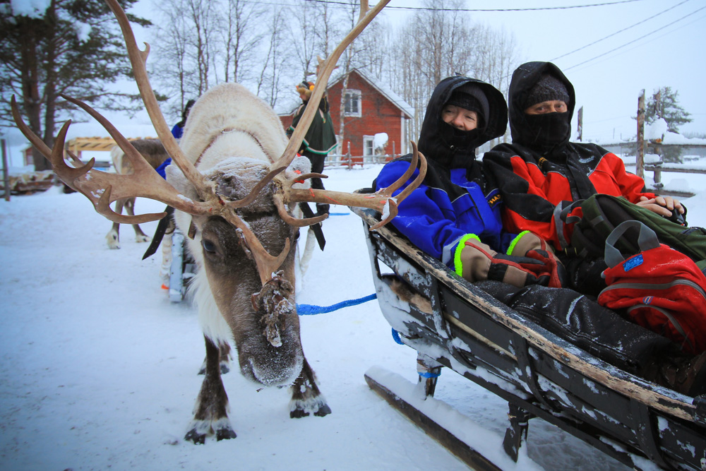 Nordic Winter Small Group Tours | 50 Degrees North