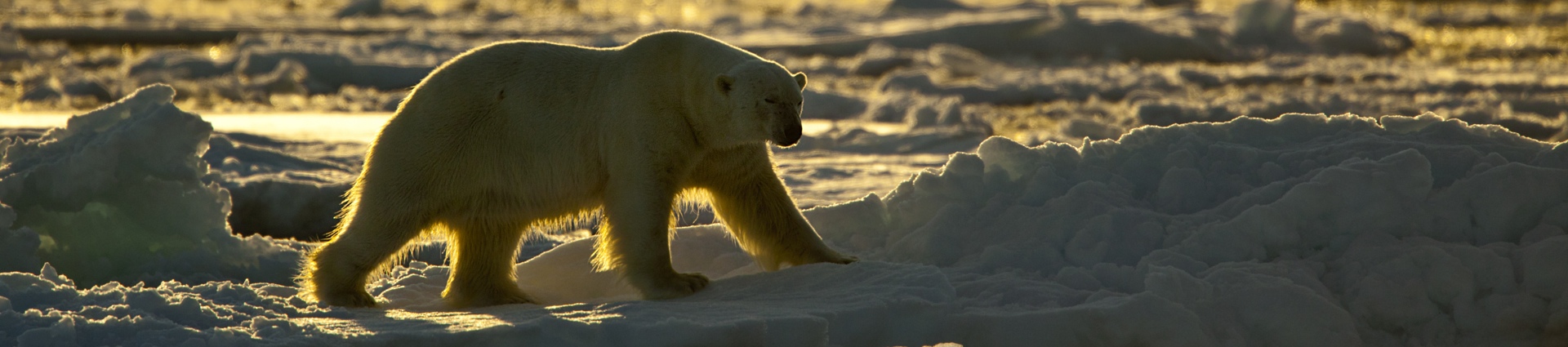 Nunavut | Canada | Arctic