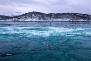 Best Northern Lights Small Group Tour to Norway and Sweden | 50 Degrees ...
