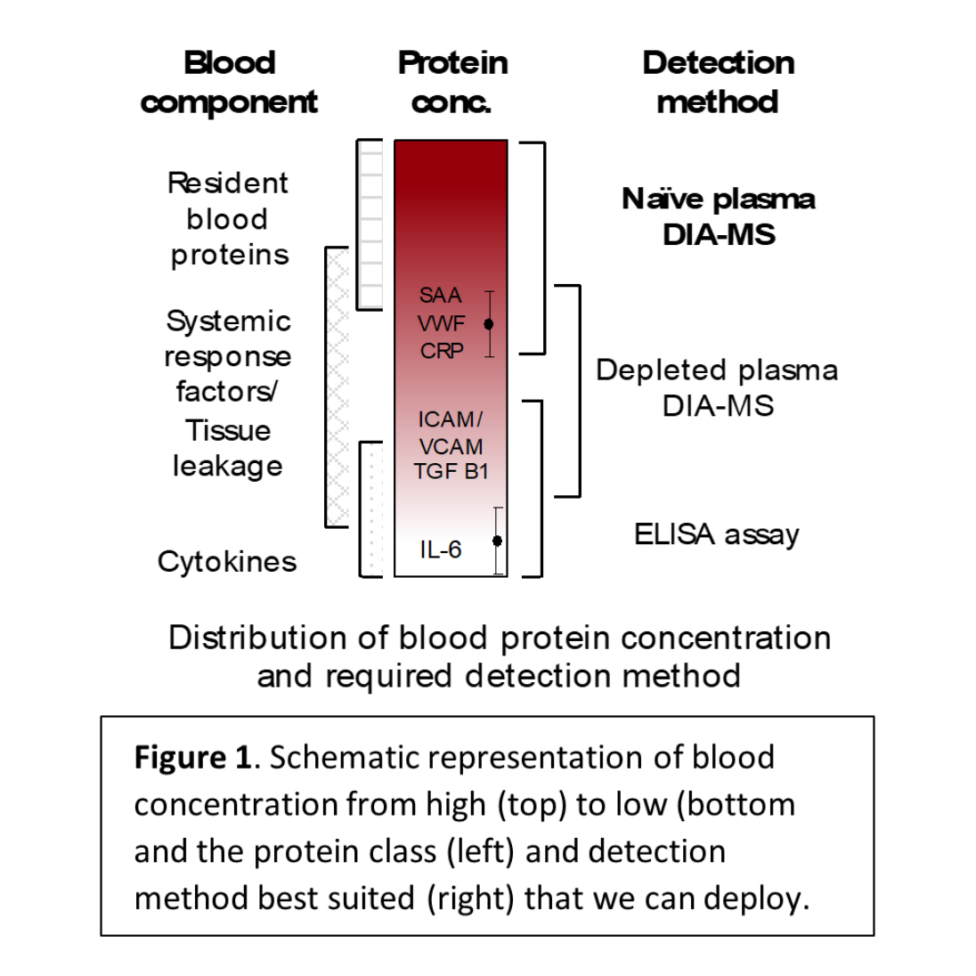 GA1352648 MK425842@2x