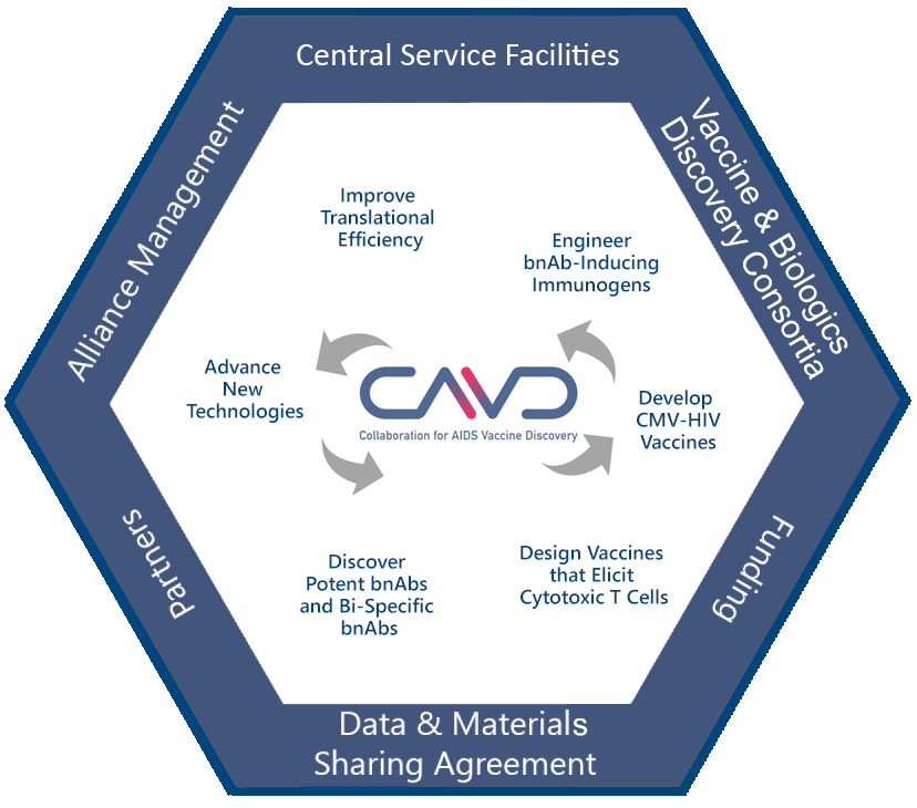 CAVD Diagram-0