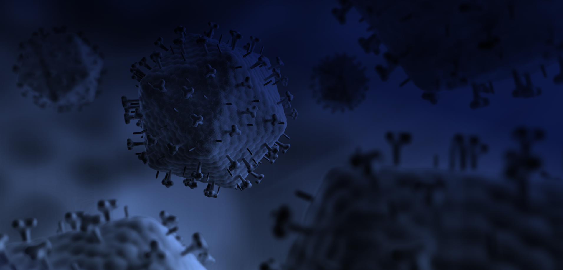 CAVD Virus-no borders