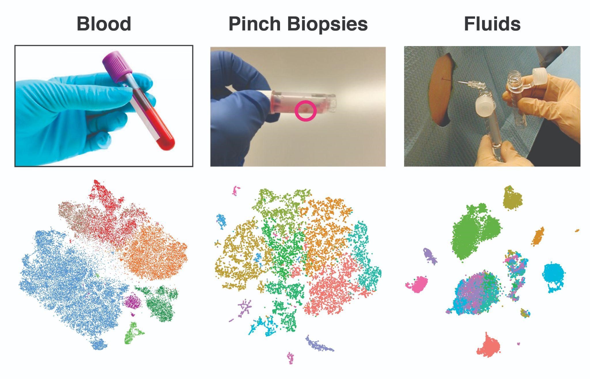 Single Cell samples