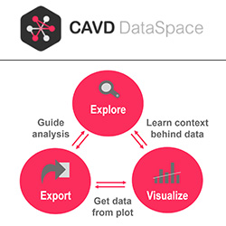 CAVD-DataSpace-v3
