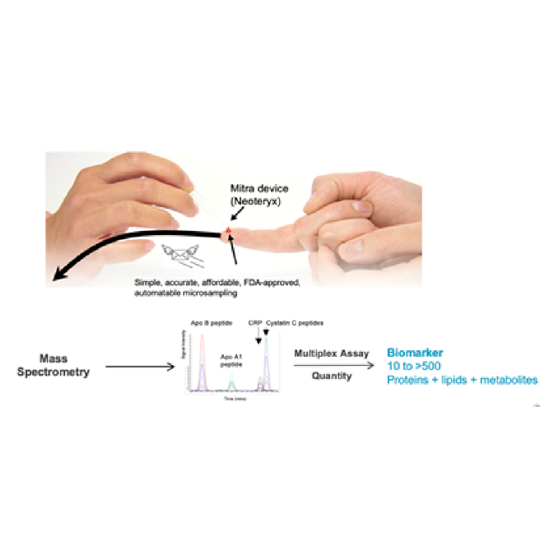 GA1352648 MK425842-2@2x