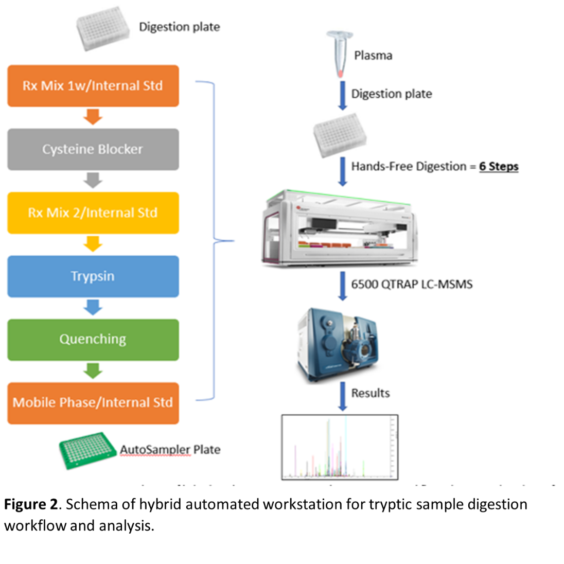 GA1352648 MK425842-3@2x