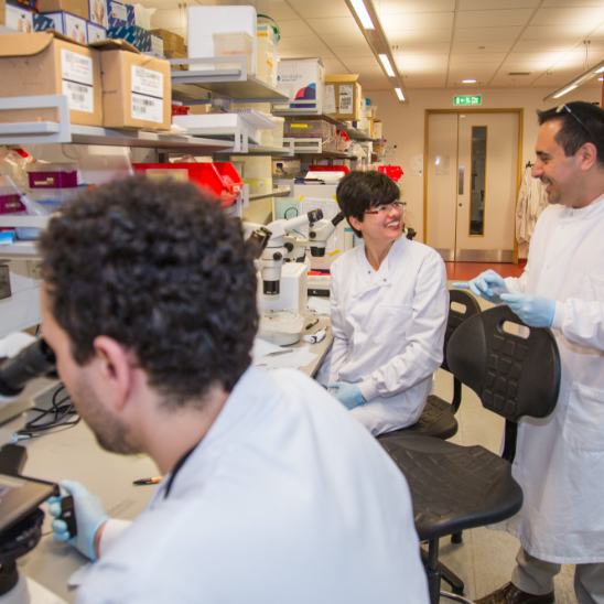 Group pic in lab for CAVD