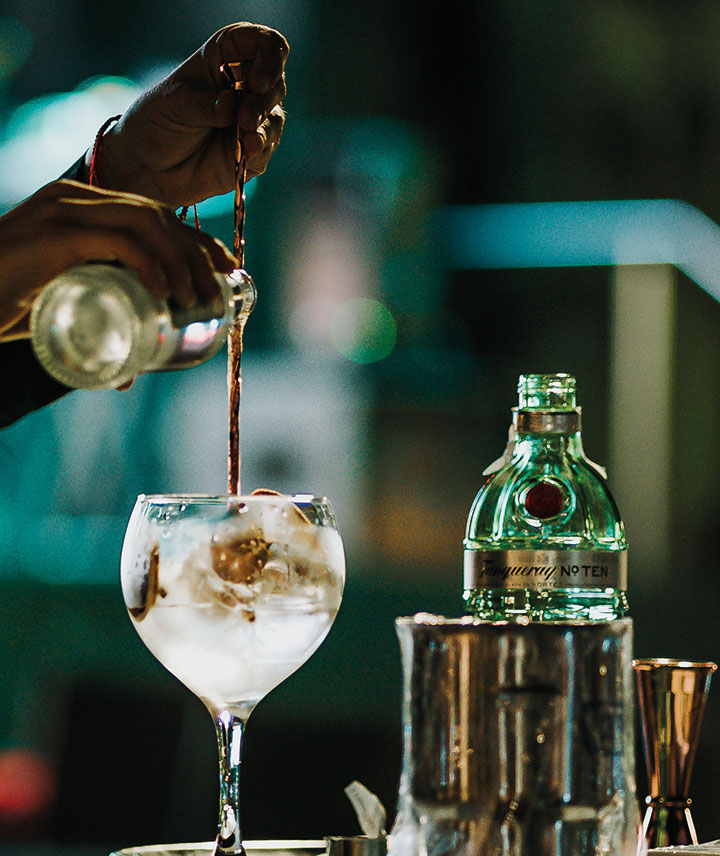 Tasting Gin & the Right Way to Serve it