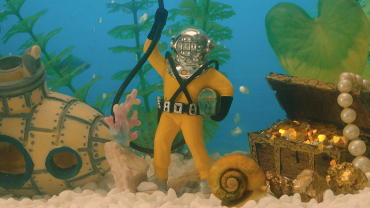 Award-winning home, contents & car Insurance | AA Insurance