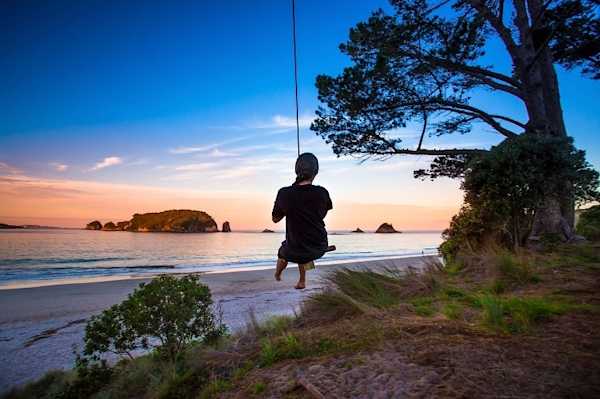 Read the latest from our newsroom | AA Insurance