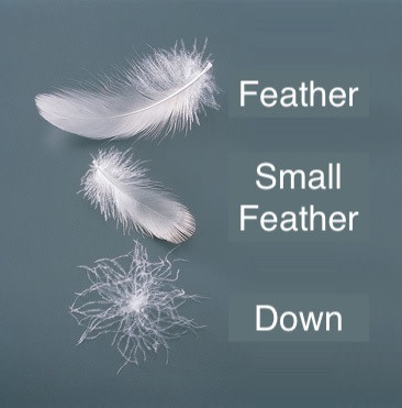 Best Down Jackets for Men in 2019 | Mr.Alife