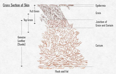 How to Buy a Leather Jacket for Men in 2019 | Mr.Alife