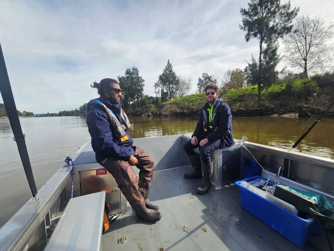 Locals Urged To Clean Boats With Imminent Summer Heatwave To Fuel Weeds ...