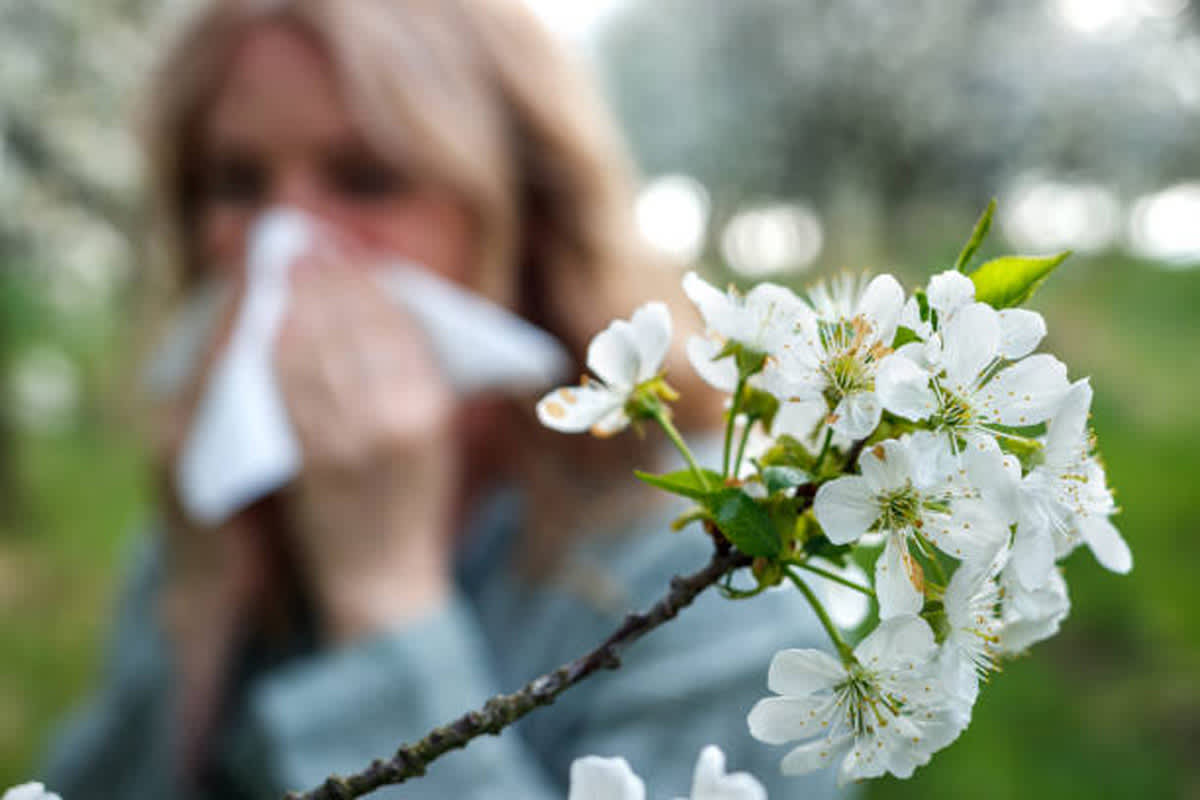 Early Hay Fever Season Is Upon Us - Don’t Ignore Symptoms | The ...