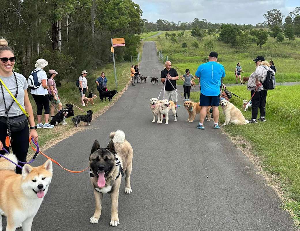 Doggie Dates NSW Allows You To Socialise With Your Dog | The Hawkesbury ...
