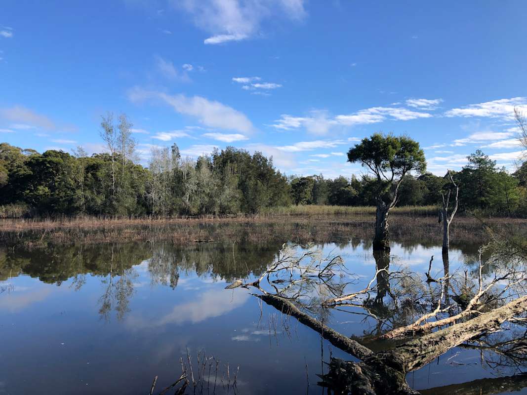 Future of the Wetlands Forum | The Hawkesbury Phoenix - Hawkesbury ...