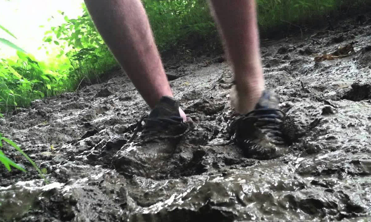 Are You Farm Flood Ready? | The Hawkesbury Phoenix - Hawkesbury Region ...