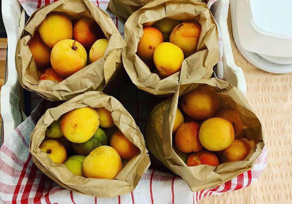 Bilpin Markets | The Hawkesbury Phoenix - Hawkesbury Region News and ...