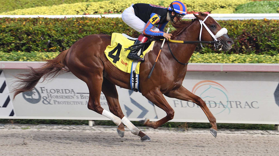 Drain the Clock One to Beat in Saturday’s G3 Smile Sprint | Gulfstream Park