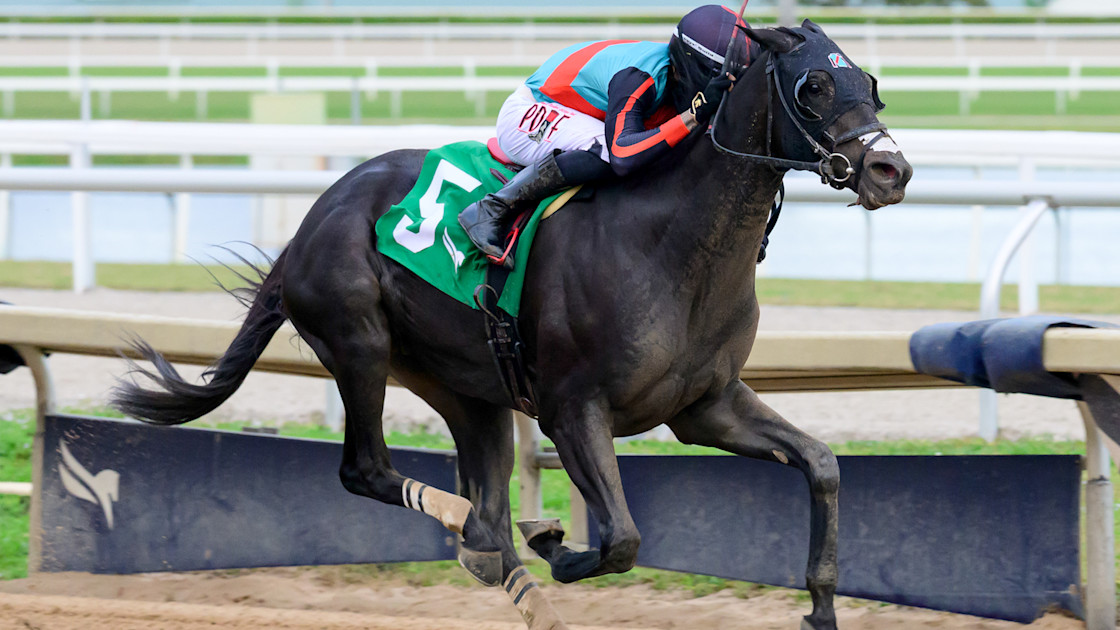 Lightning Tones Wins Sunshine Classic For Second Consecutive Year ...