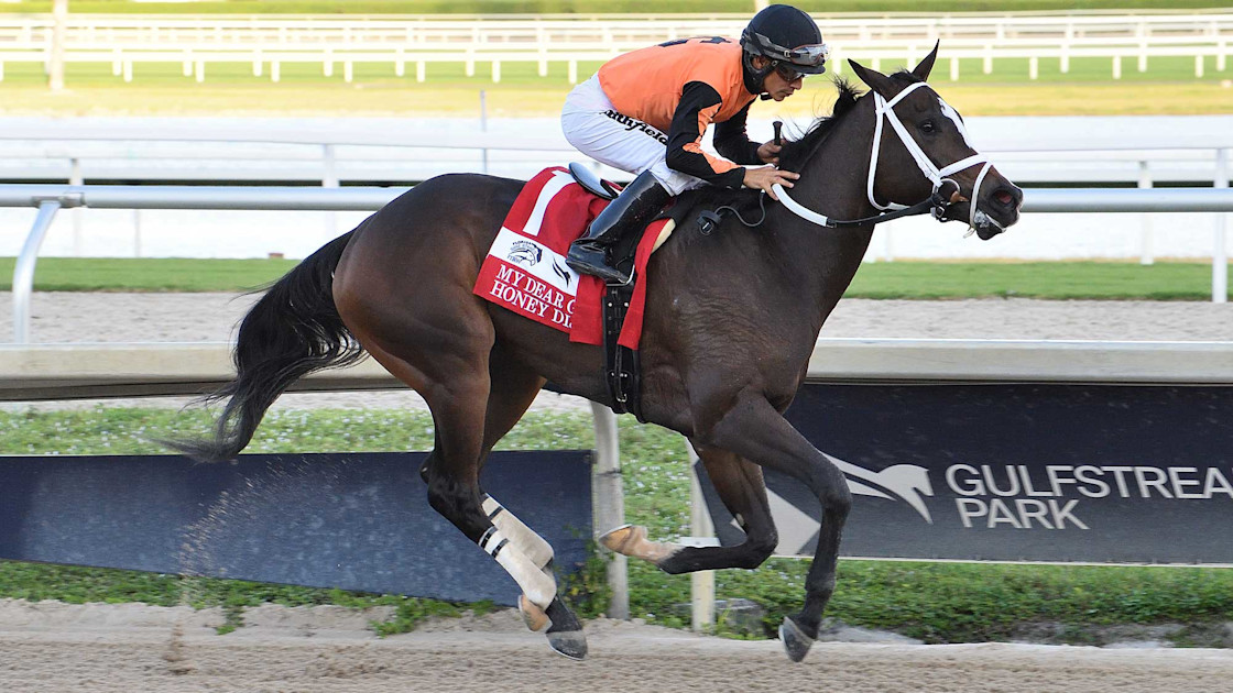 Honey Dijon Turns the Tables in $300,000 My Dear Girl | Gulfstream Park