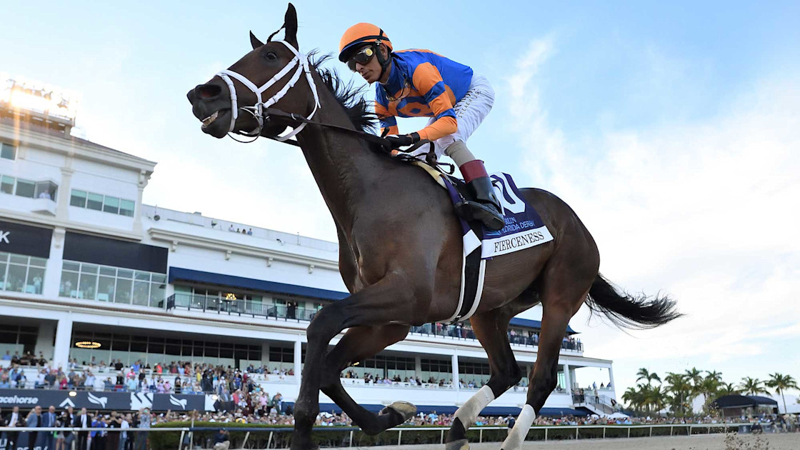 G1 Curlin Florida Derby Hero Fierceness Breezes ‘Easy’ 4 Furlongs ...