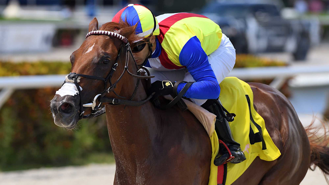 Showgirl Lynne B Breezes for Planned Breeders’ Cup Start | Gulfstream Park