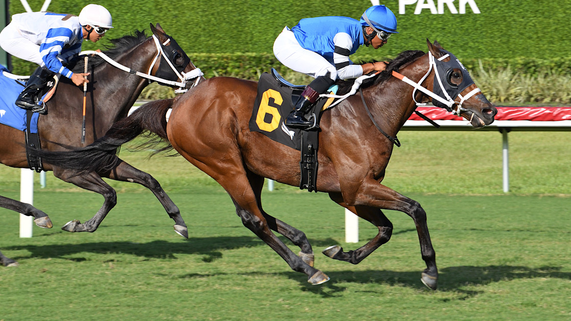 Reef Runner Returns a Winner in $70,000 Warrior’s Pride | Hallandale ...