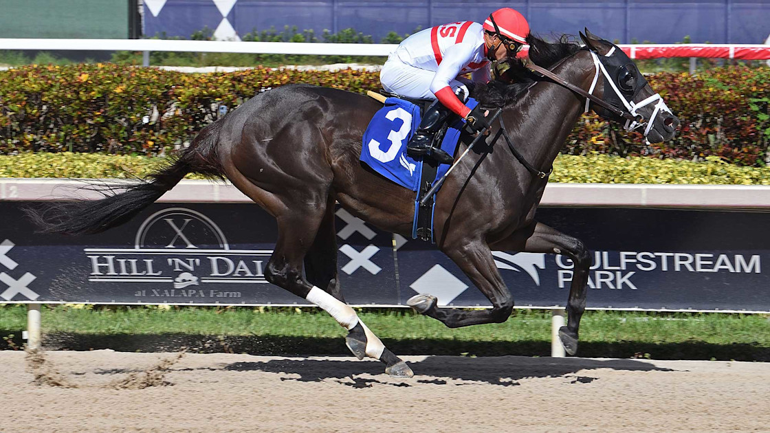 Bentornato Made His Connections ‘Proud’ at Gulfstream | Gulfstream Park