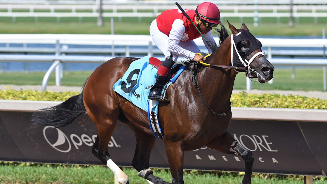 Derby Hopeful Neoequos Fires Bullet at Gulfstream | Hallandale Beach ...