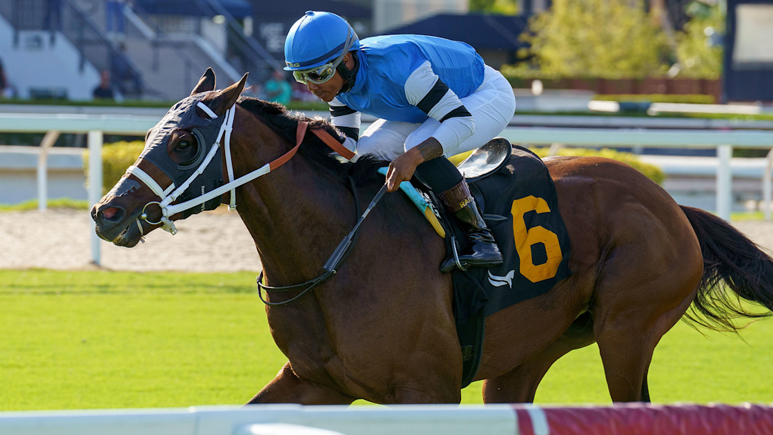 G2 Winner Reef Runner Breezes Saturday for Janus | Hallandale Beach ...