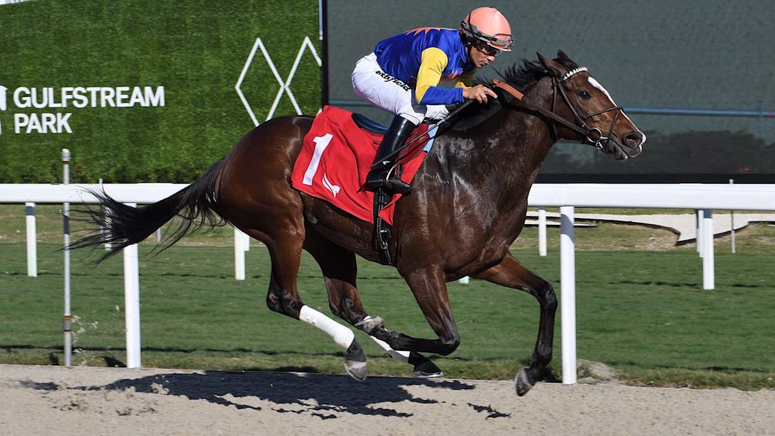 Road to Curlin Florida Derby Begins Monday | Hallandale Beach, Miami ...