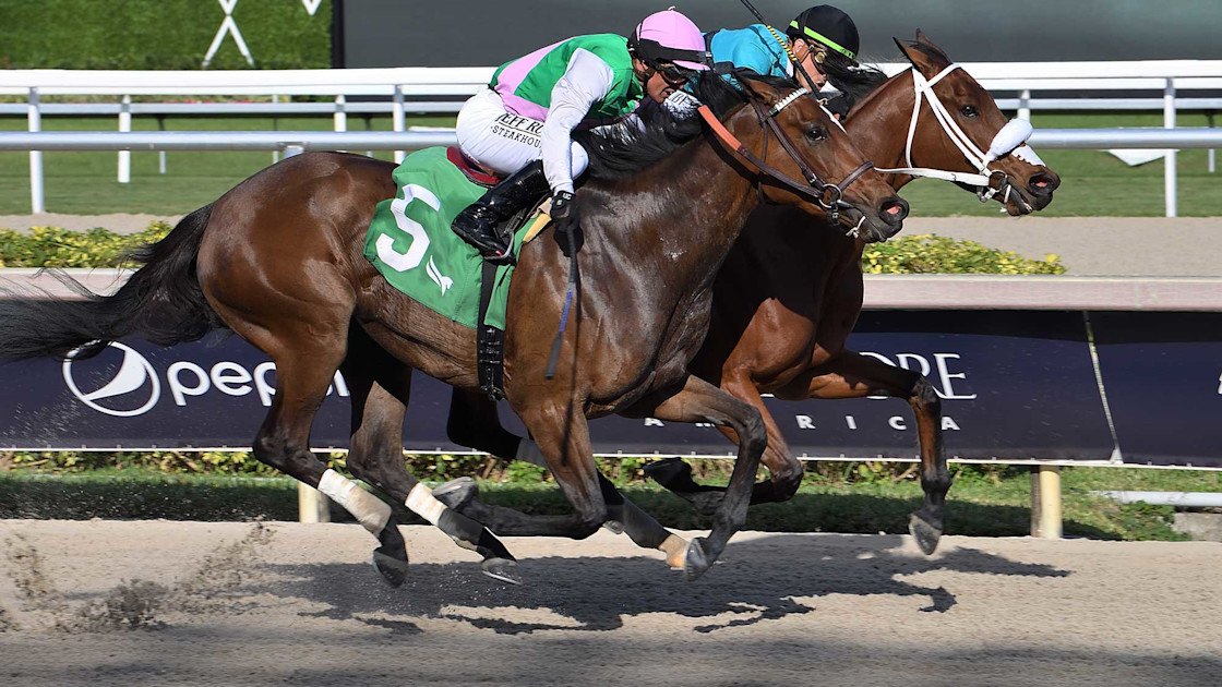Beth’s Dream Repels Bid by Scylla in Race 9 Feature | Hallandale Beach ...