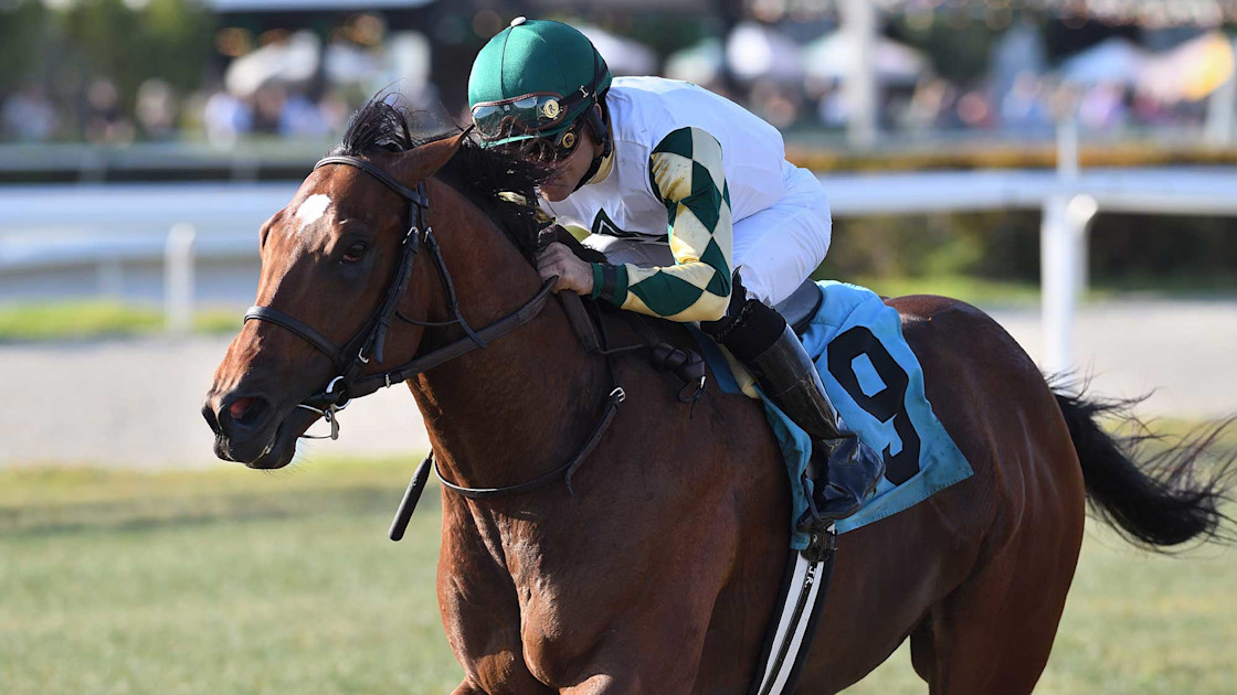 Big Invasion Makes Big Return in Silks Run | Gulfstream Park