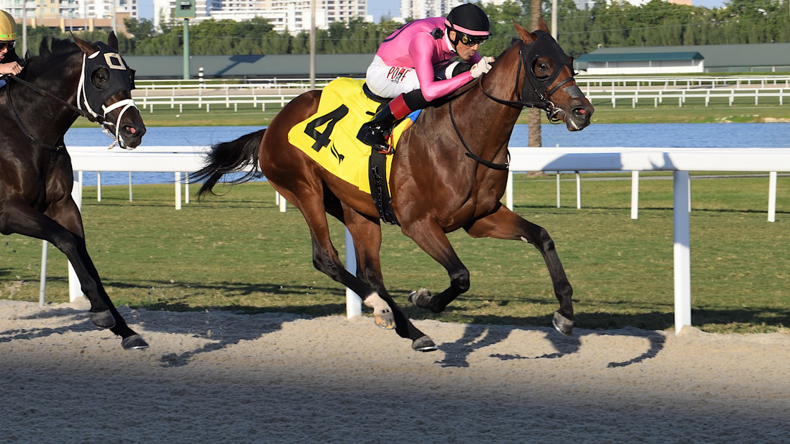 Donut God Brings Supreme Form into Saturday’s Swale | Hallandale Beach ...