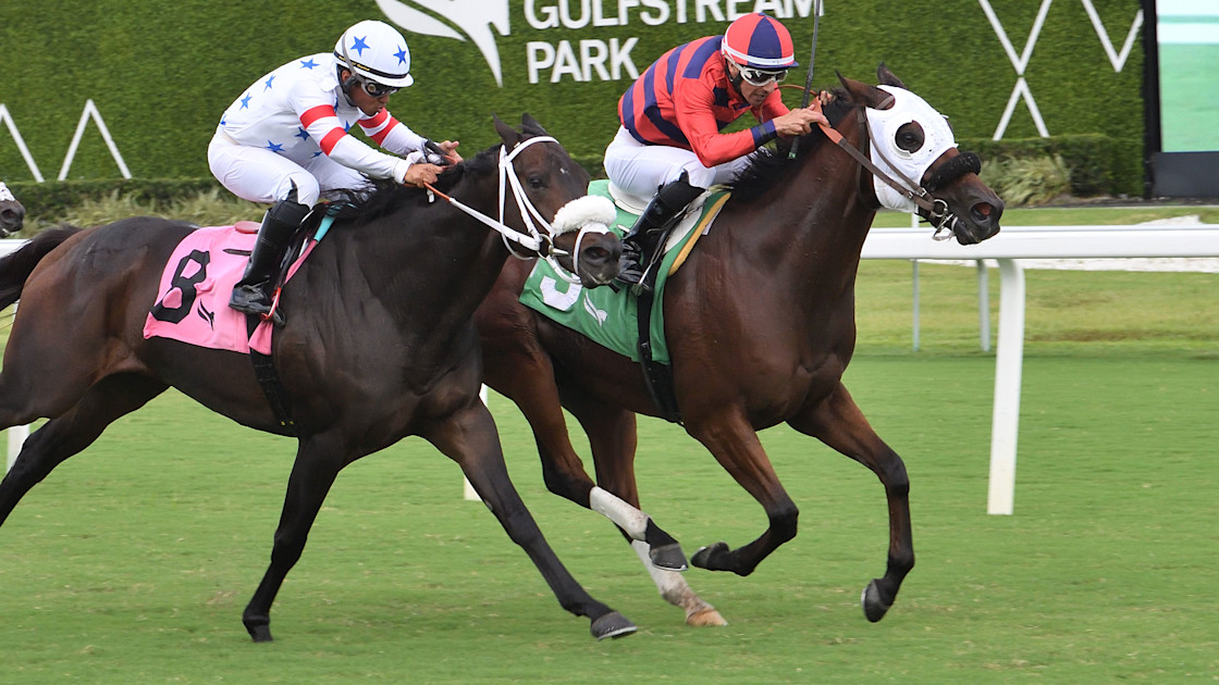 Private Thoughts Notches Third Straight in Jet Propulsion | Hallandale ...