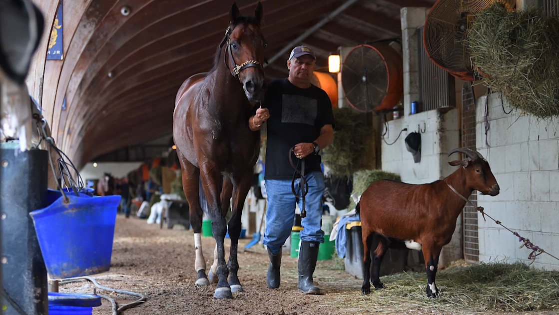 Breakfast at Gulfstream Returns for Four Weekends Beginning Saturday ...