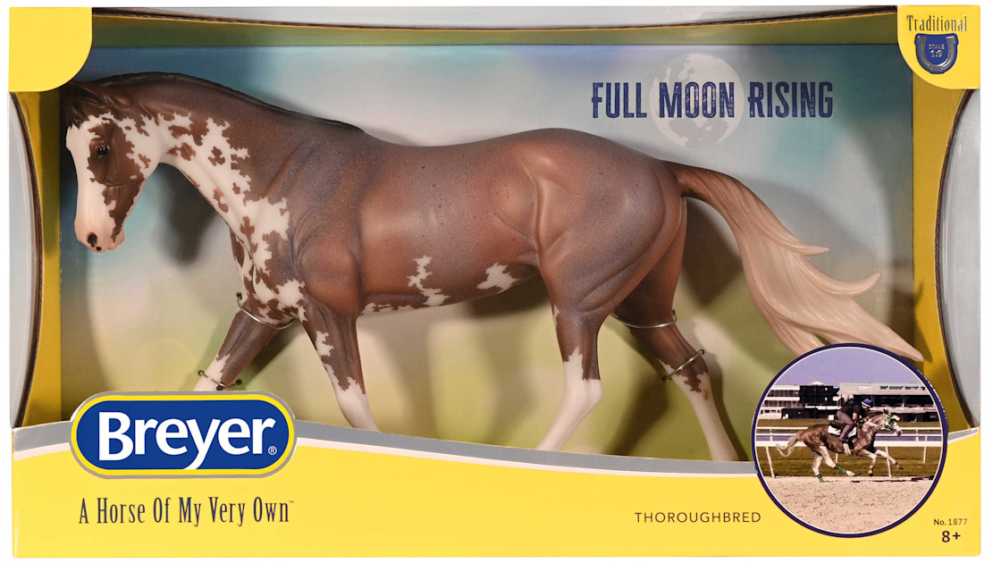 Winless Racehorse Full Moon Rising a Model Thoroughbred | Gulfstream Park