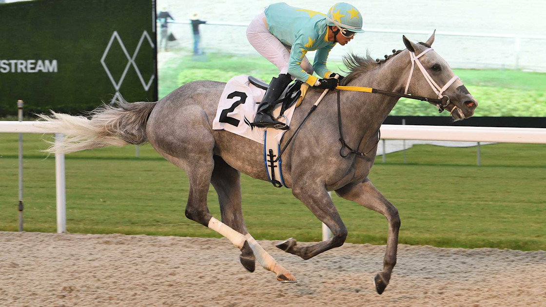 Mandatory Rainbow 6 Payout Yields Multiple $18,453 Payoffs | Hallandale ...